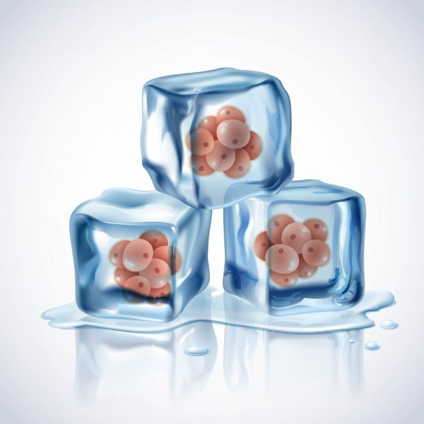 Frozen Embryo Transfers (FET) | Fertility Specialist - KL Fertility Centre